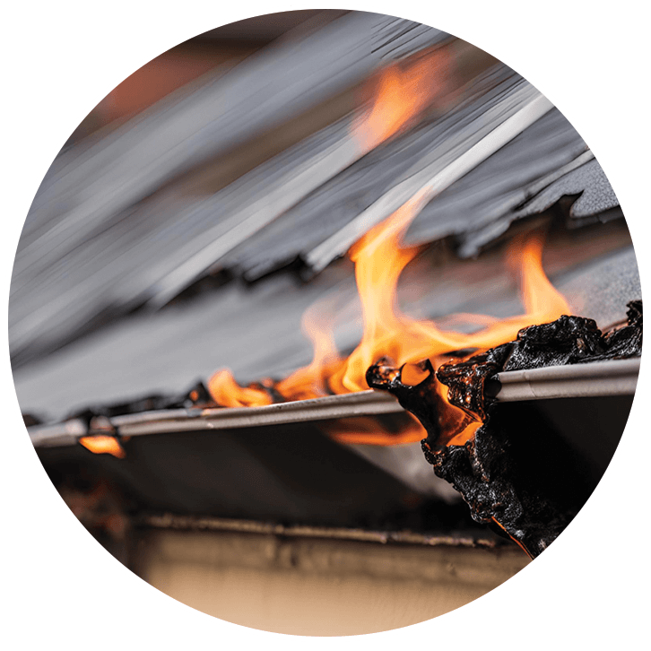 Home - LeafBlaster Pro